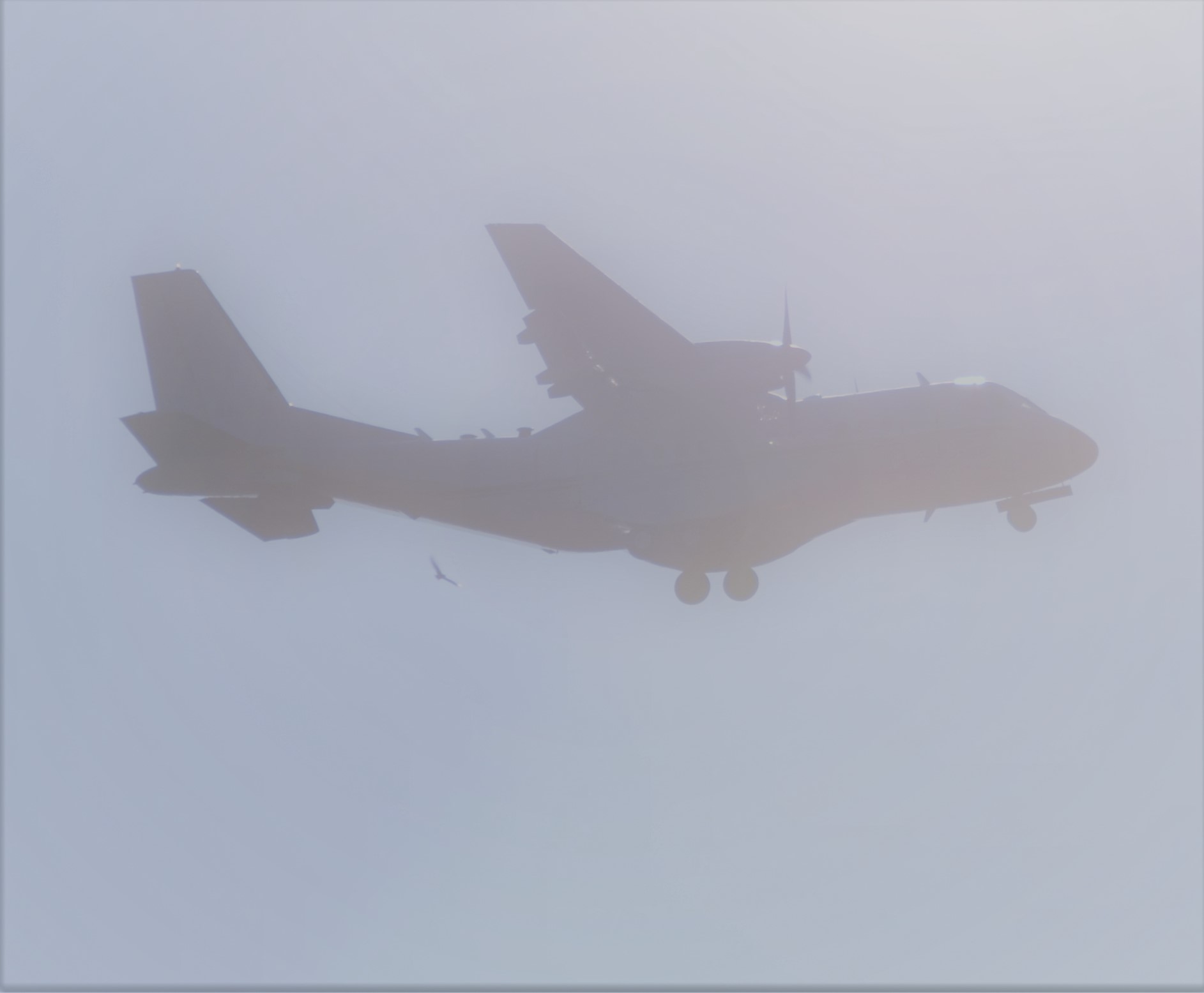 Triangle Aviation Solutions – Professional, Reliable, Adaptable